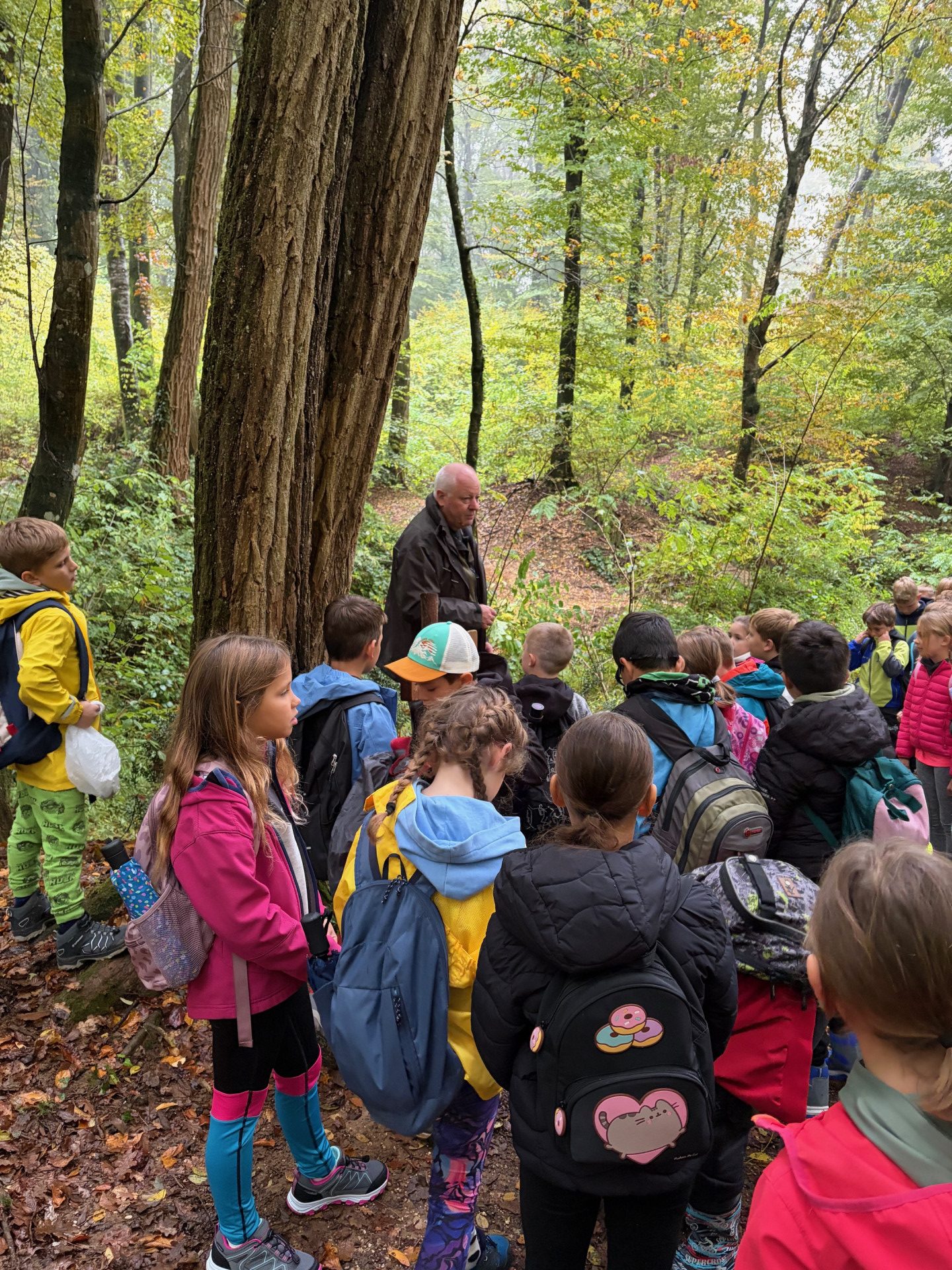 NARAVOSLOVNI DAN GOZD - OŠ Miren
